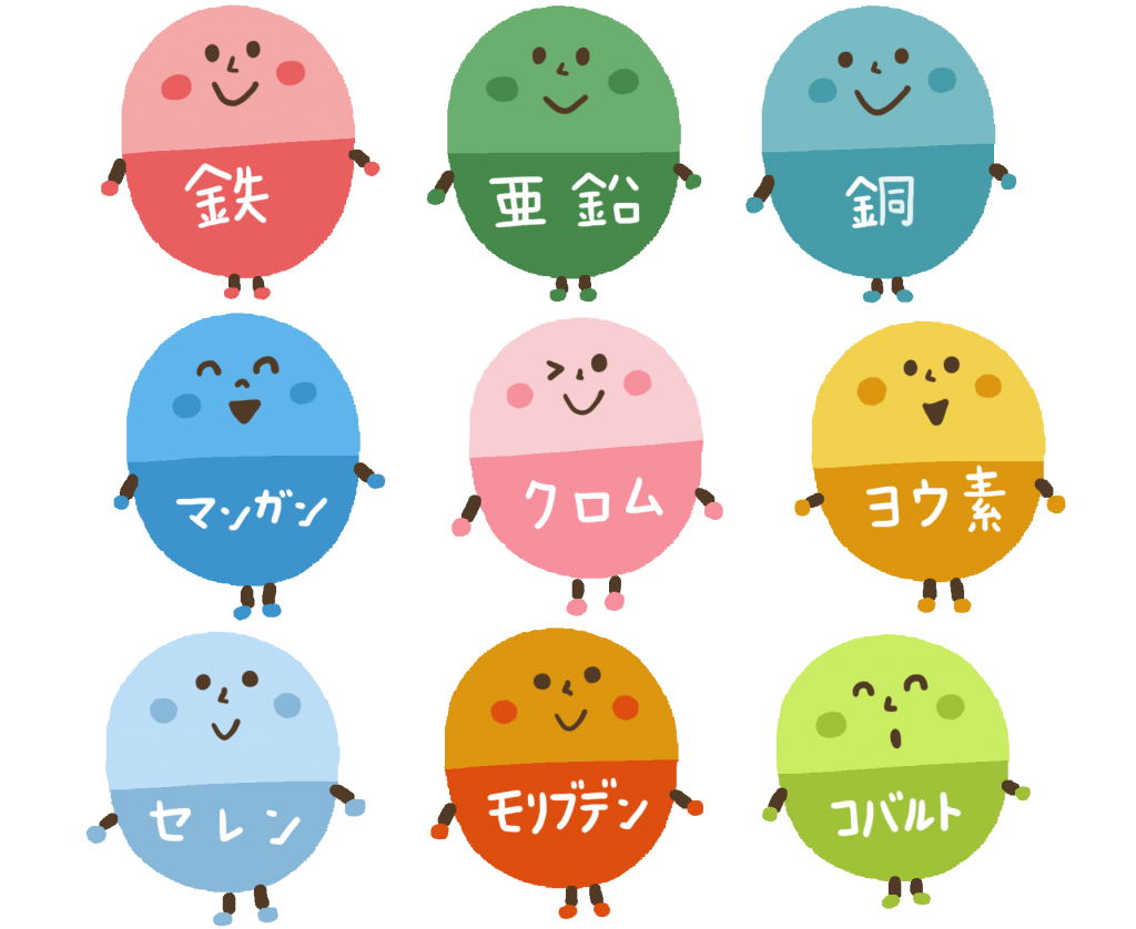 ミネラル | CALSEED OFFICIAL